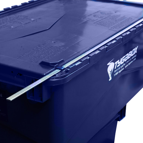 Classic Tyga | TygaSmart.com